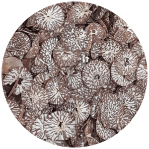 Supari - Mantri Mart