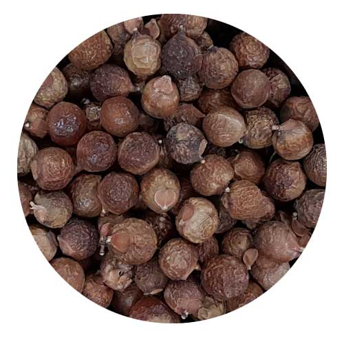 Reetha - Mantri Mart