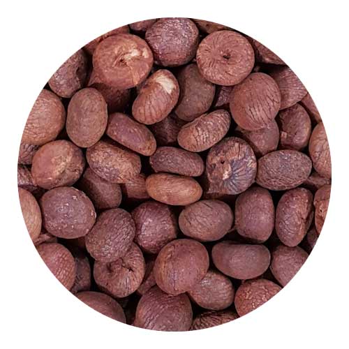 Supari - Mantri Mart