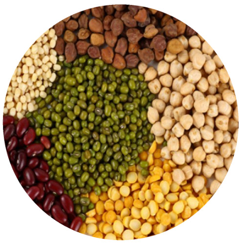 Kaju Goa - Mantri Mart