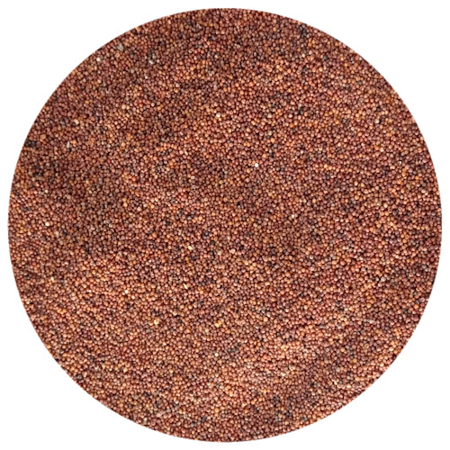 Nachni or Ragi - Mantri Mart